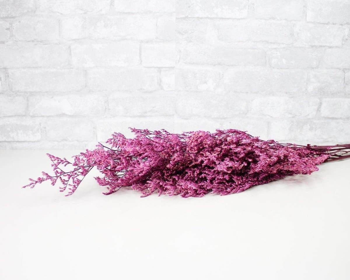 Preserved Caspia - Pink | ClaytonHaus